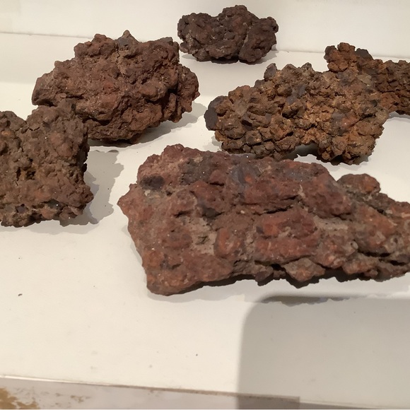 Other | Coprolite Dinosaur Feces Large | Poshmark